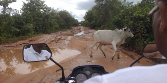2nd Trip: Welcome to Benin! – gebana
